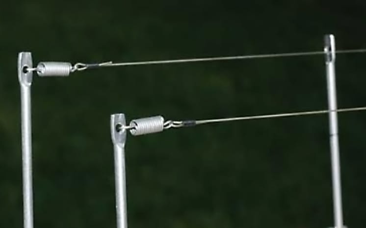 PestAway Australia | Melbourne Bird Control - PestAway Australia