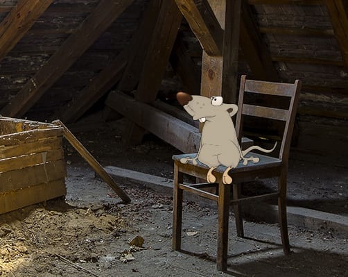 PestAway Australia | Rats in Roof - PestAway Australia